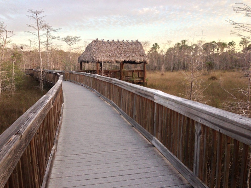 Big Cypress National Preserve-Kirby S Storter Boardwalk, 48900 Tamiami ...