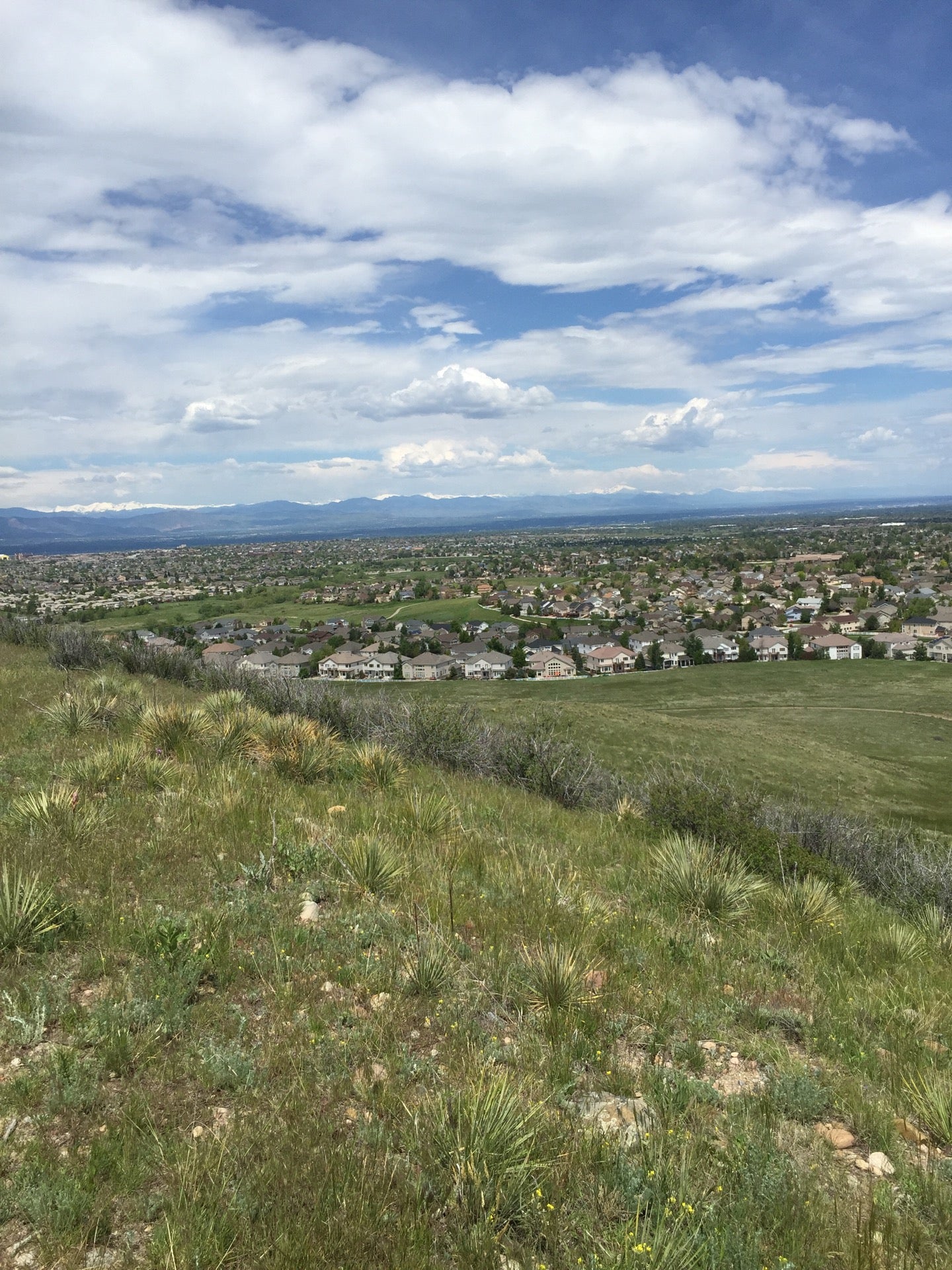 Scenic Lookout At Bluffs Regional Park, Lone Tree, Colorado, Lone Tree ...