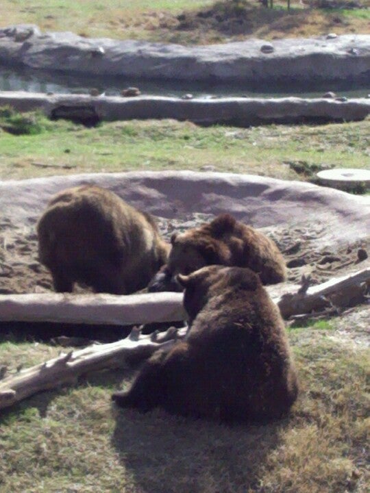 Memphis Zoo Teton Trek, Memphis, TN, Zoos - MapQuest