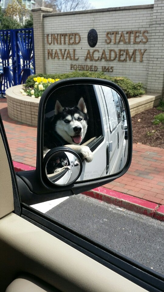 Gate #1 - US Naval Academy, King George St, Annapolis, MD, Military ...