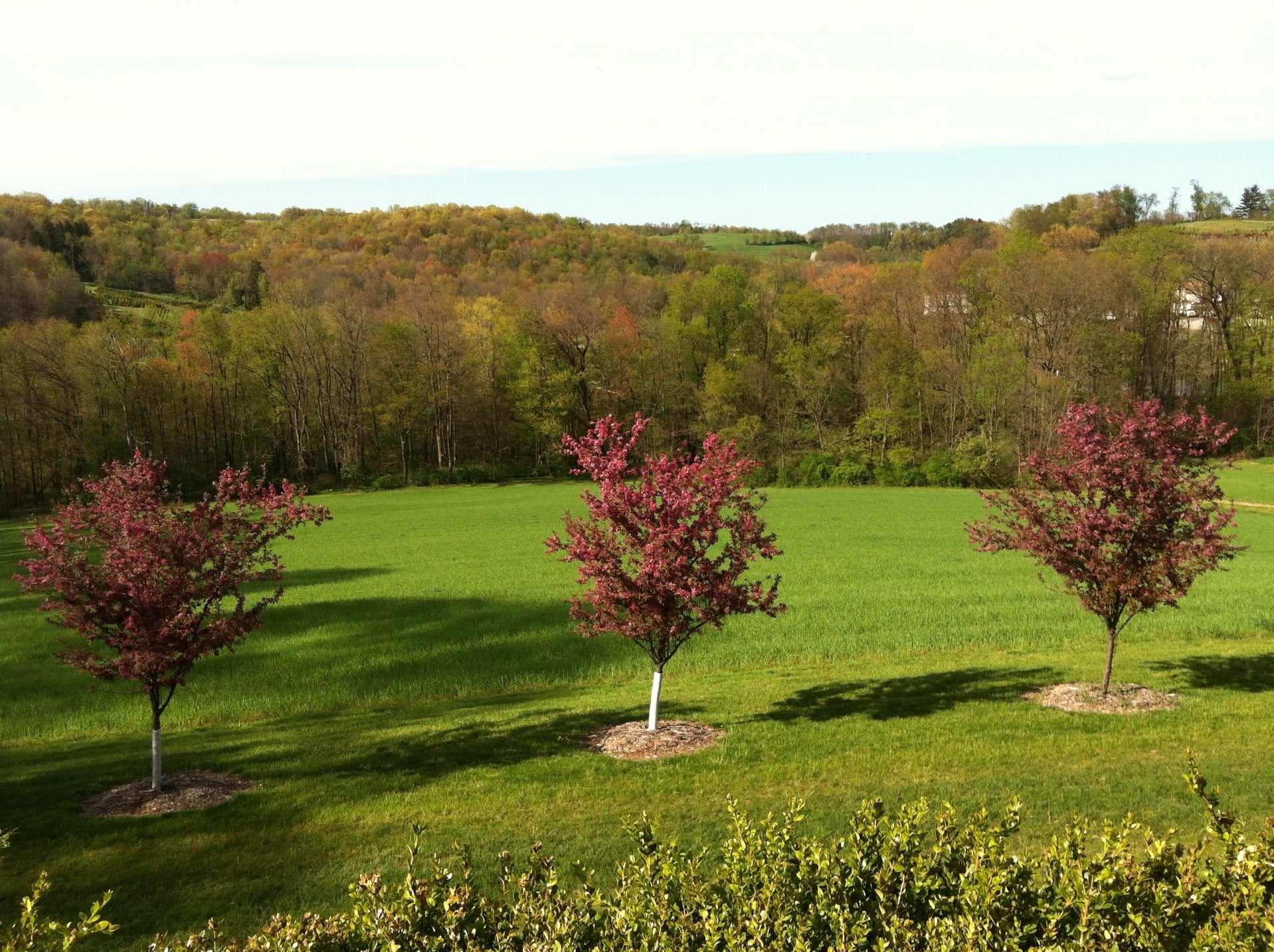 Greystone Fields, 4085 Sandy Hill Rd, Gibsonia, PA - MapQuest