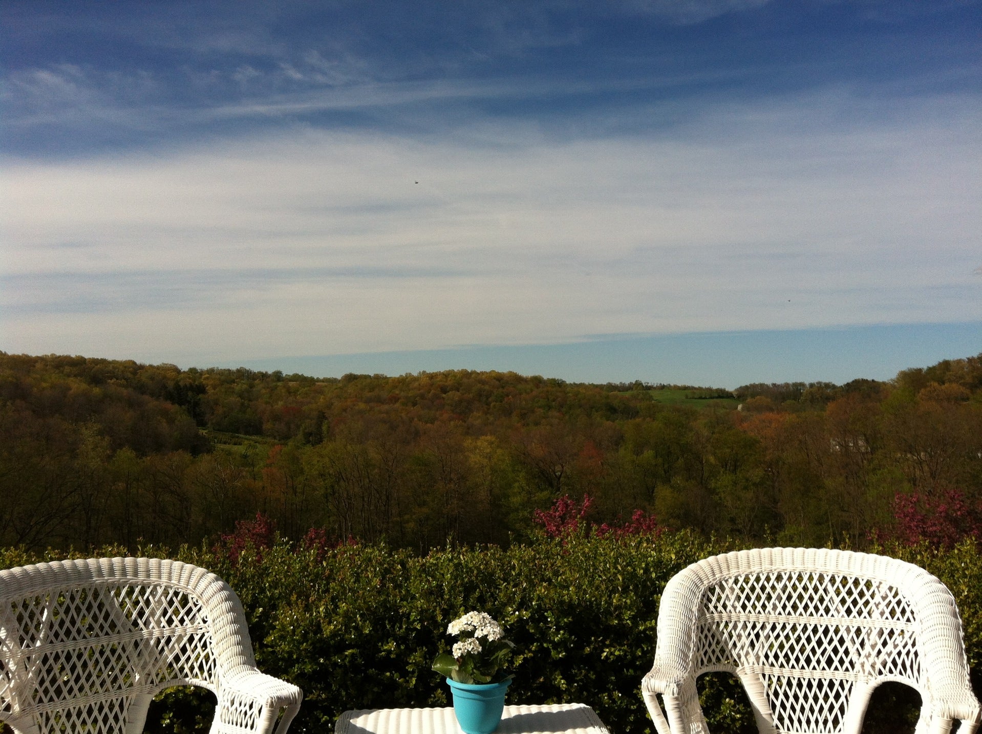 Greystone Fields, 4085 Sandy Hill Rd, Gibsonia, PA - MapQuest