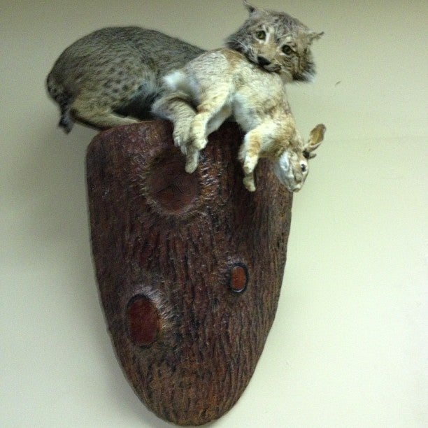 Minden, LA Map & Directions - MapQuest