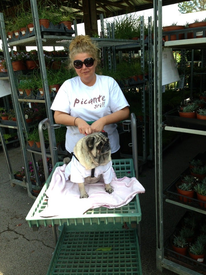 Grower's Outlet, 160 Cown Dr, Loganville, GA, Garden Centers - MapQuest