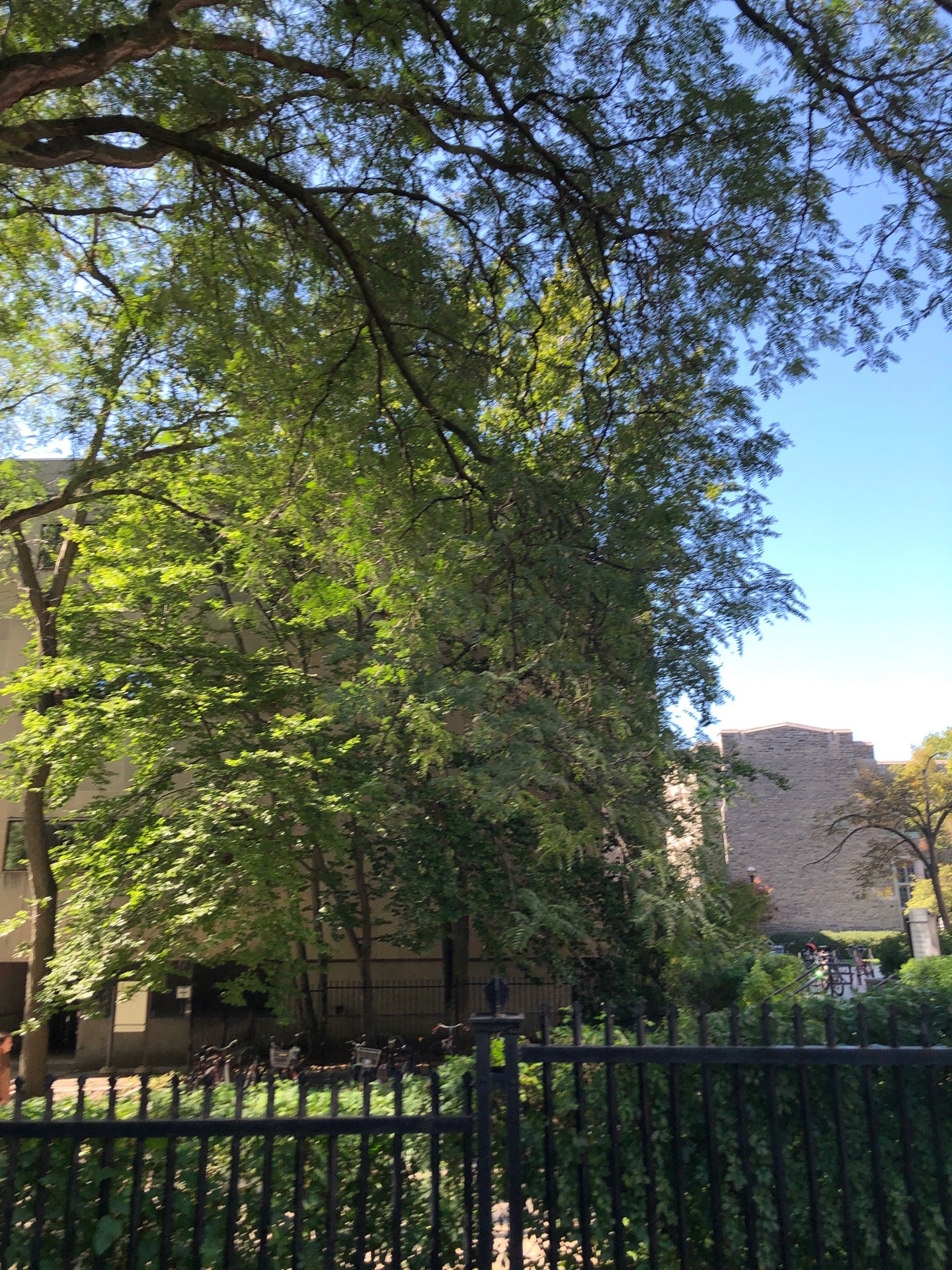 Northrop Frye Hall, 73 Queen's Pk Cres E, Toronto, ON - MapQuest