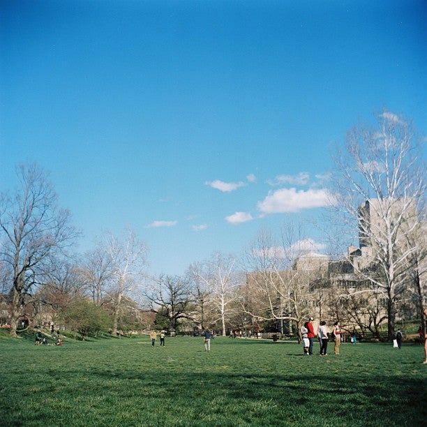 Dunn Meadow, Bloomington, IN, Parks - MapQuest