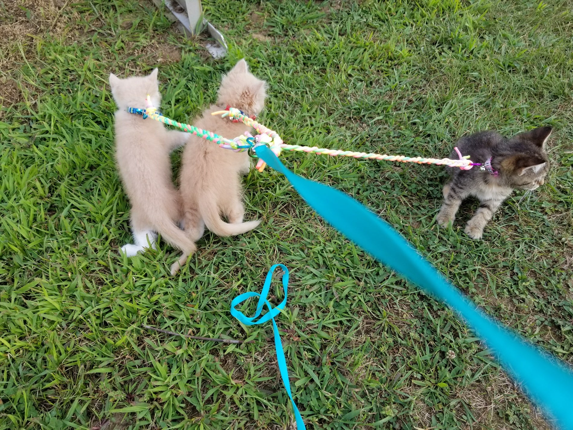 Cranesville, PA Map & Directions - MapQuest