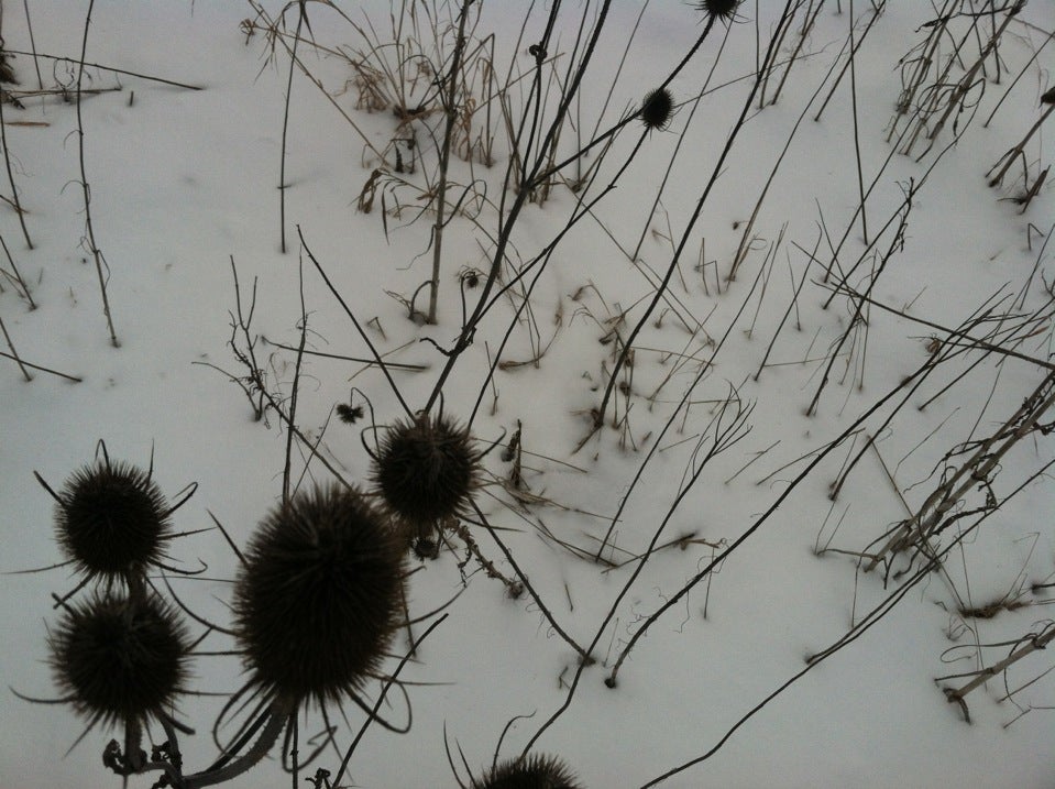 Novi, MI Map & Directions - MapQuest