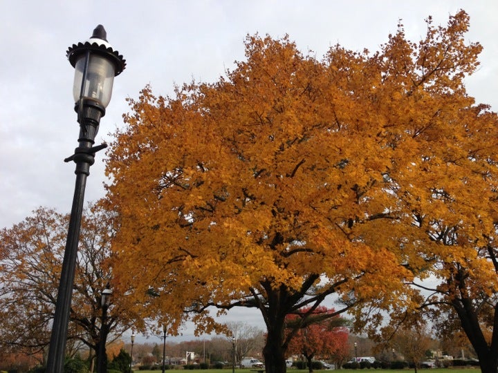 Mays Landing, NJ Map & Directions - MapQuest