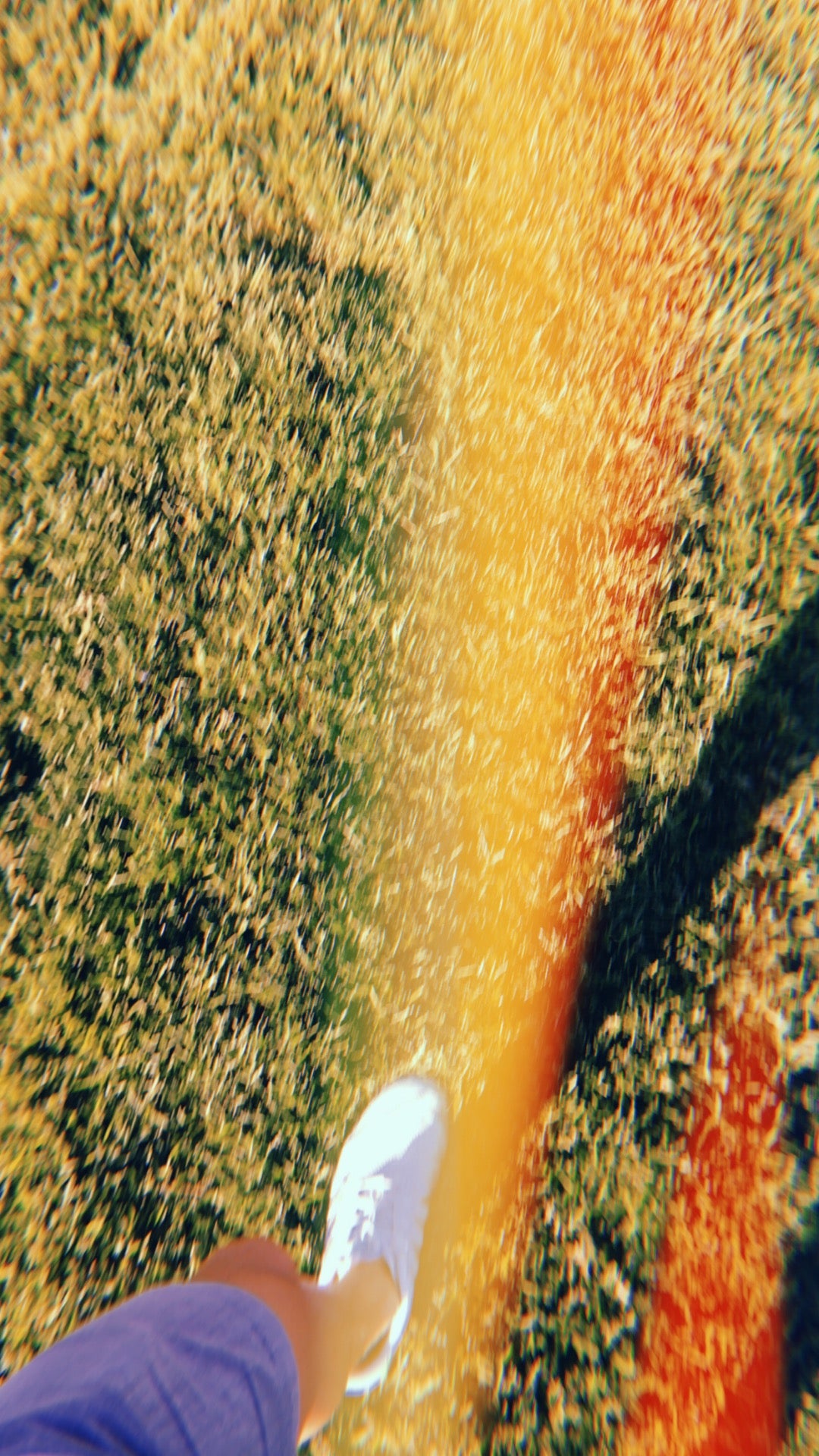 Port Sheldon Sports Complex, 3066 Port Sheldon St, Georgetown Twp, MI ...