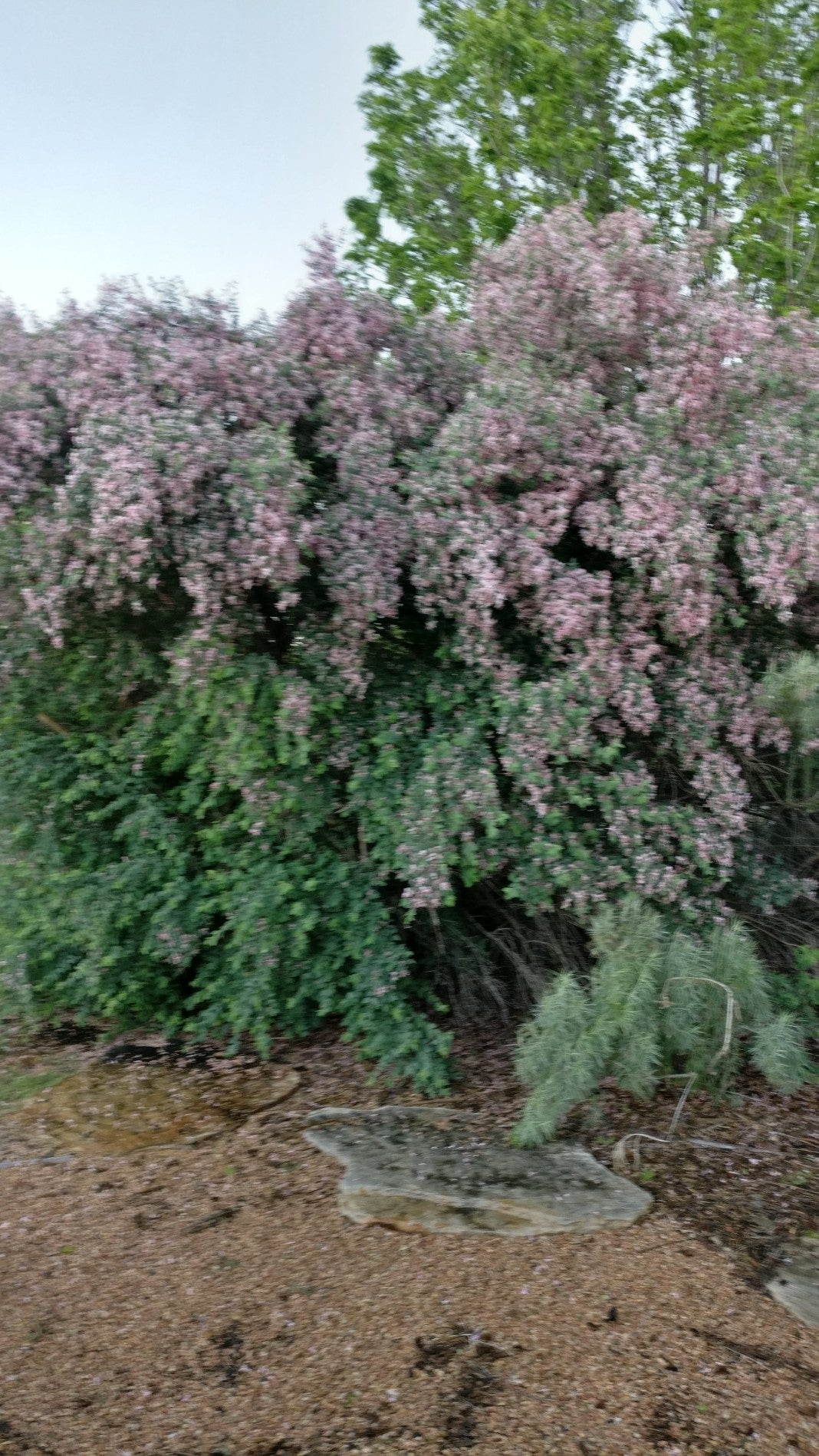 Aurora, CO Map & Directions - MapQuest