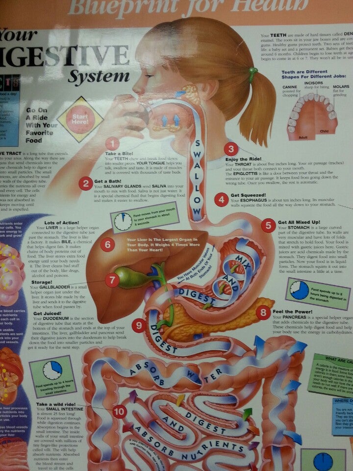 Tyler M Burpee MD - St Luke's Children's Gastroenterology, 305 E ...