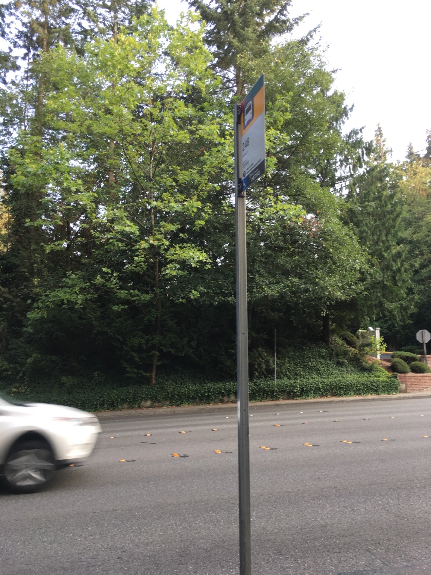 Microsoft Connector Stop, Redmond Ridge Dr NE, Redmond, WA - MapQuest