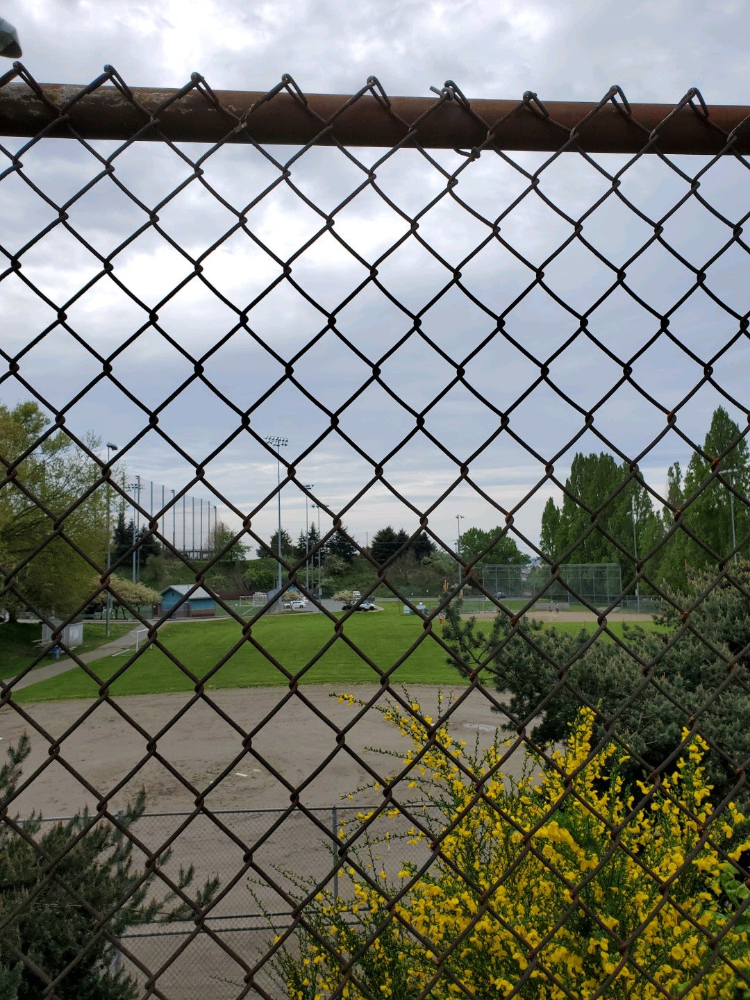 Interbay Athletic Field, 1701 W Dravus St, Seattle, WA, Landmark - MapQuest