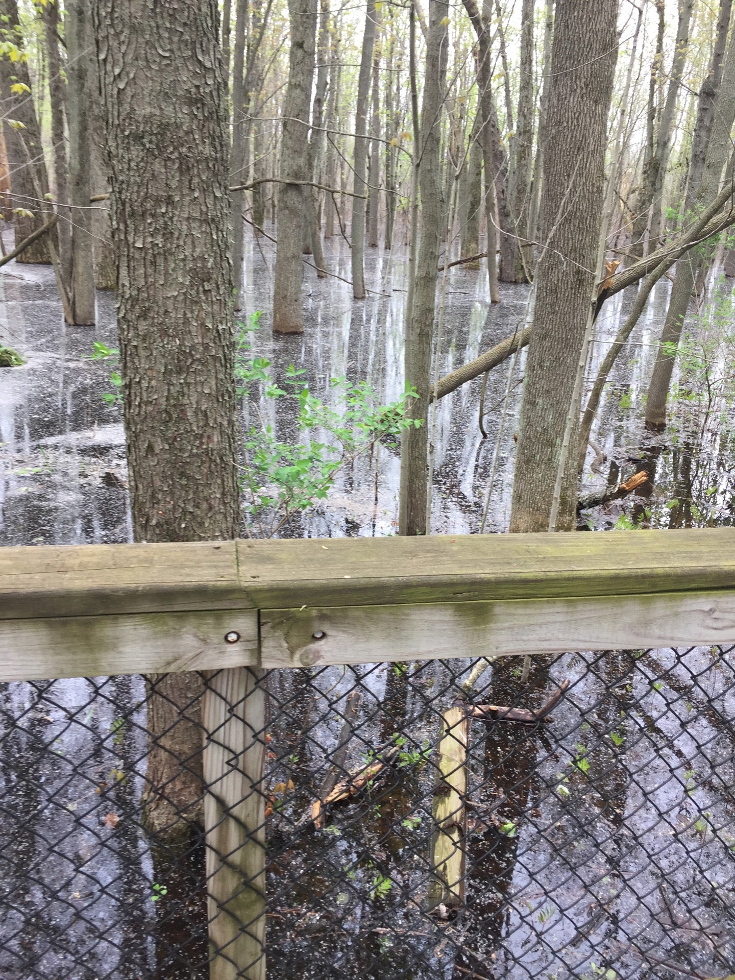 Basom, NY Map & Directions - MapQuest