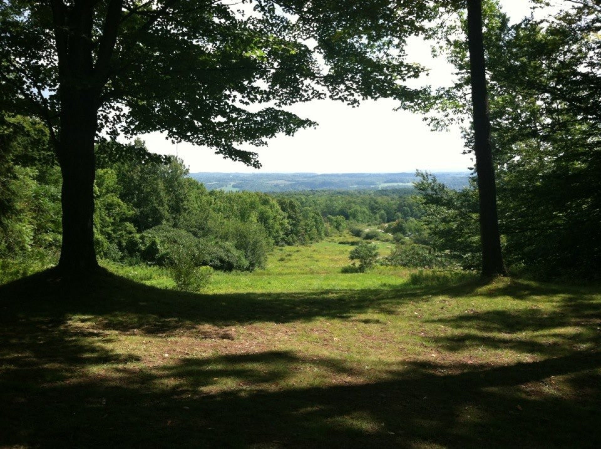 Chaffee, NY Map & Directions - MapQuest