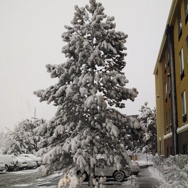 Hampton Inn Denver-West/Golden, 17150 W Colfax Ave, Golden, CO, Hotels ...