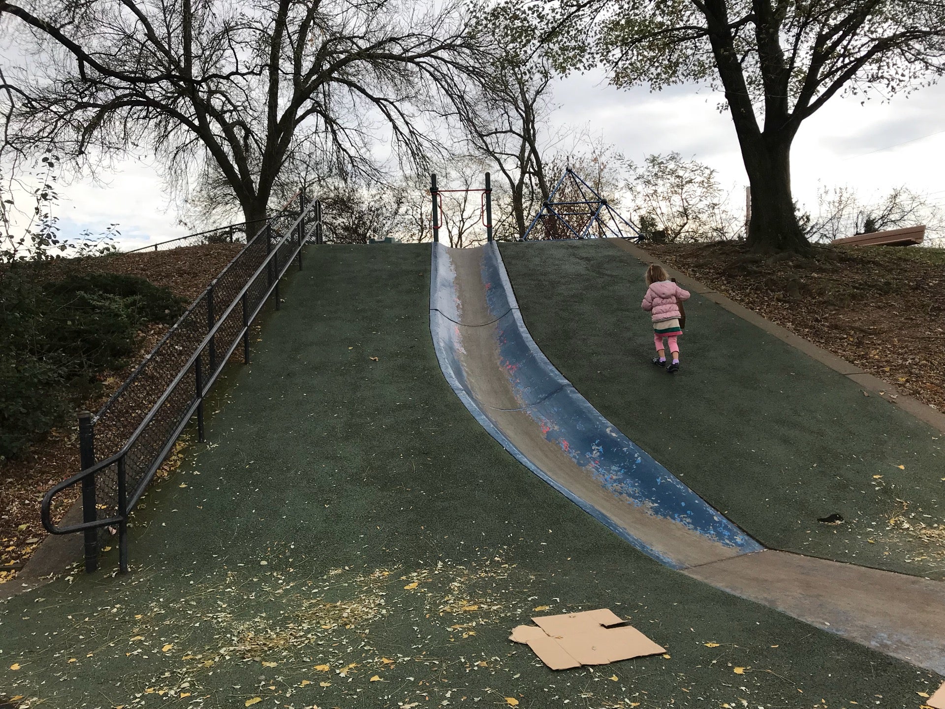 Blue Slide Park Wallpaper