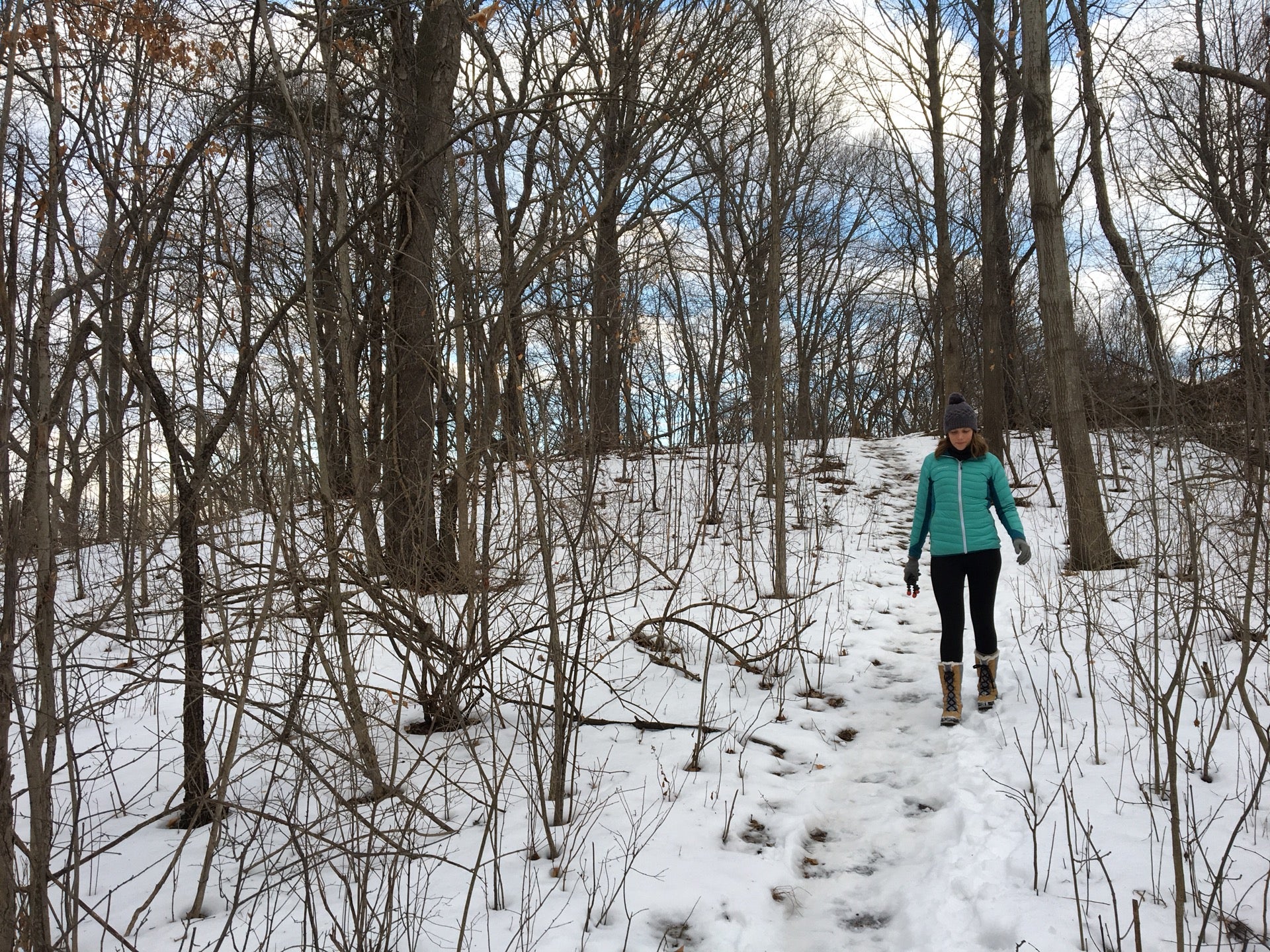 Northville Bennett Arboretum Pathway, Northville, MI, Landmark - MapQuest