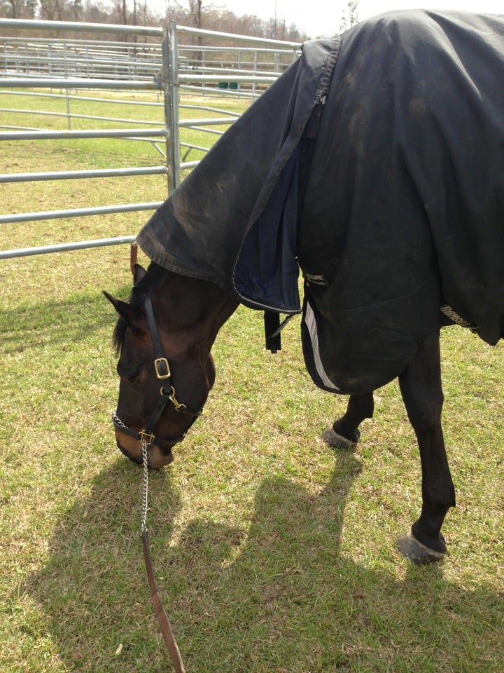 Harrison County Fairgrounds, 15321 County Farm Rd, Gulfport, MS, Trade ...