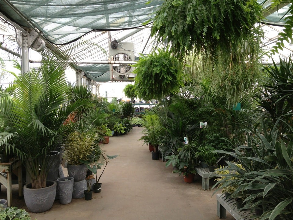 Flowerland, 4321 28th St SE, Grand Rapids, MI, Retail nurseries - MapQuest