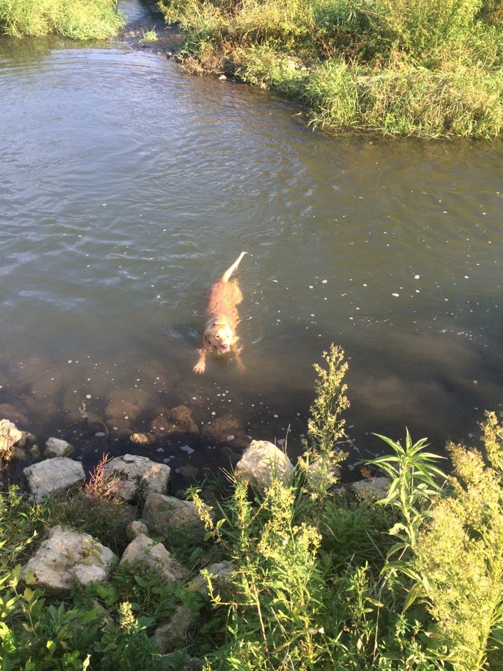 Peosta, IA Map & Directions - MapQuest