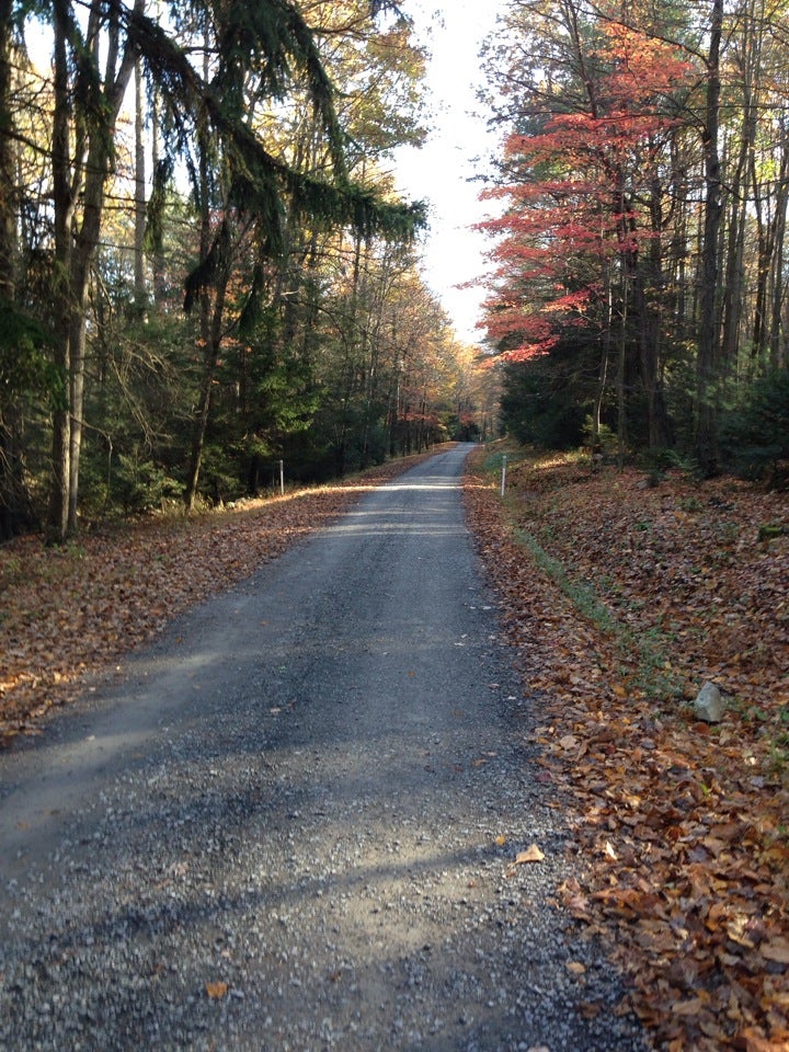 Weiser State Forest, Mount Carmel, PA, Landmark - MapQuest