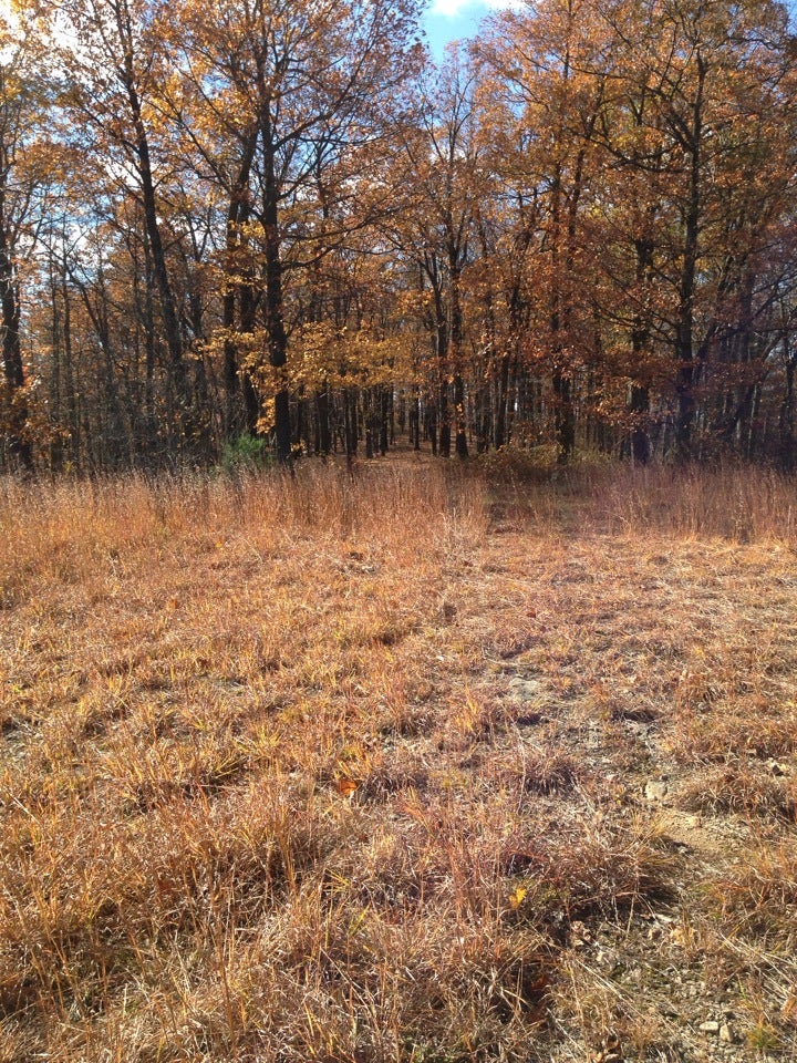 Weiser State Forest, Mount Carmel, PA, Landmark - MapQuest