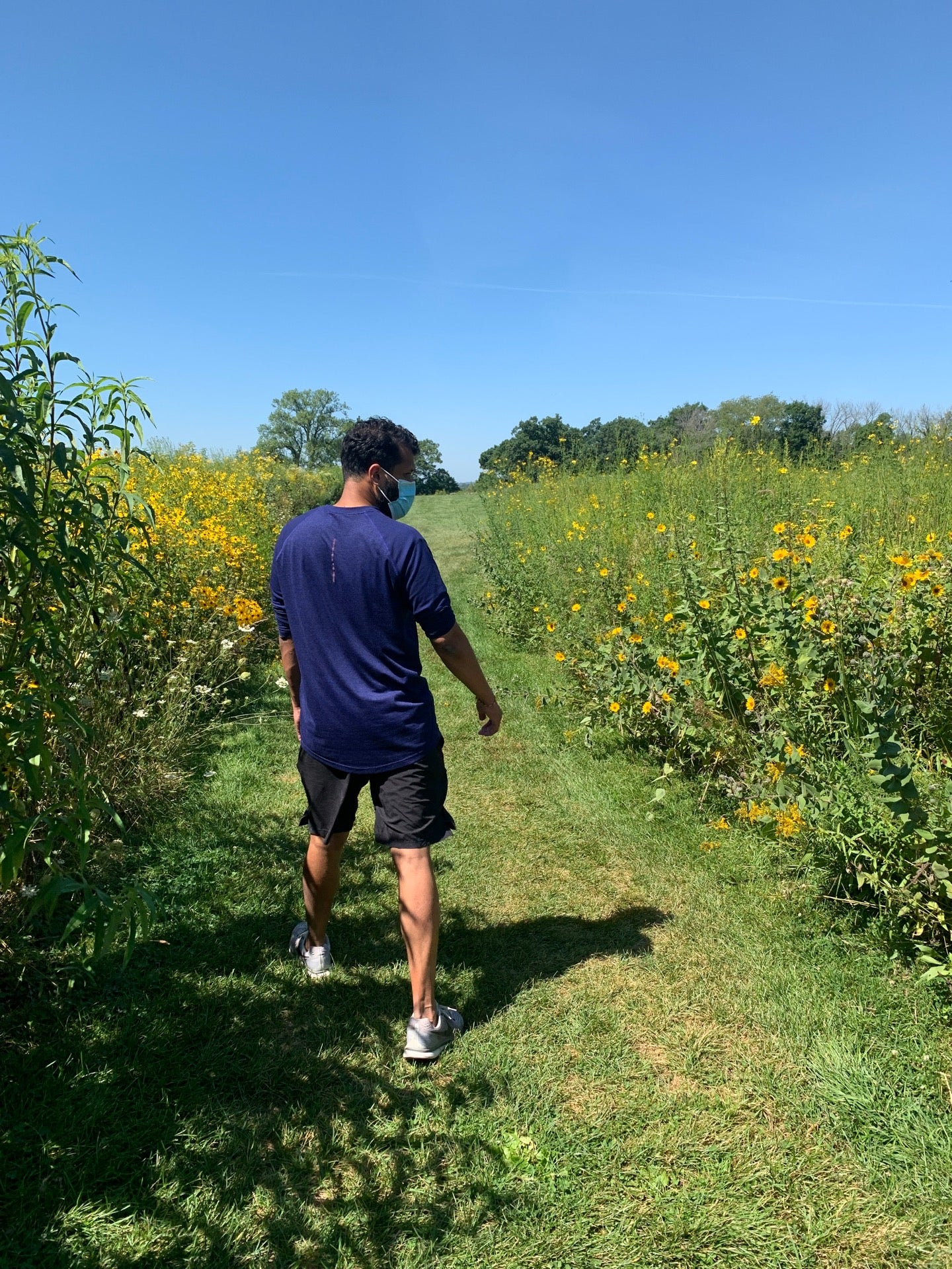 Bellevue, IA Map & Directions - MapQuest