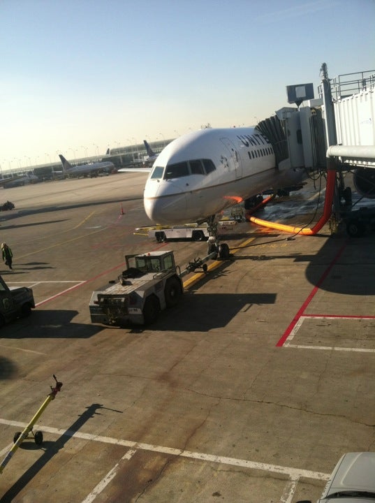 United Airlines Ticket Counter, Terminal 1, Chicago, IL, Airport ...