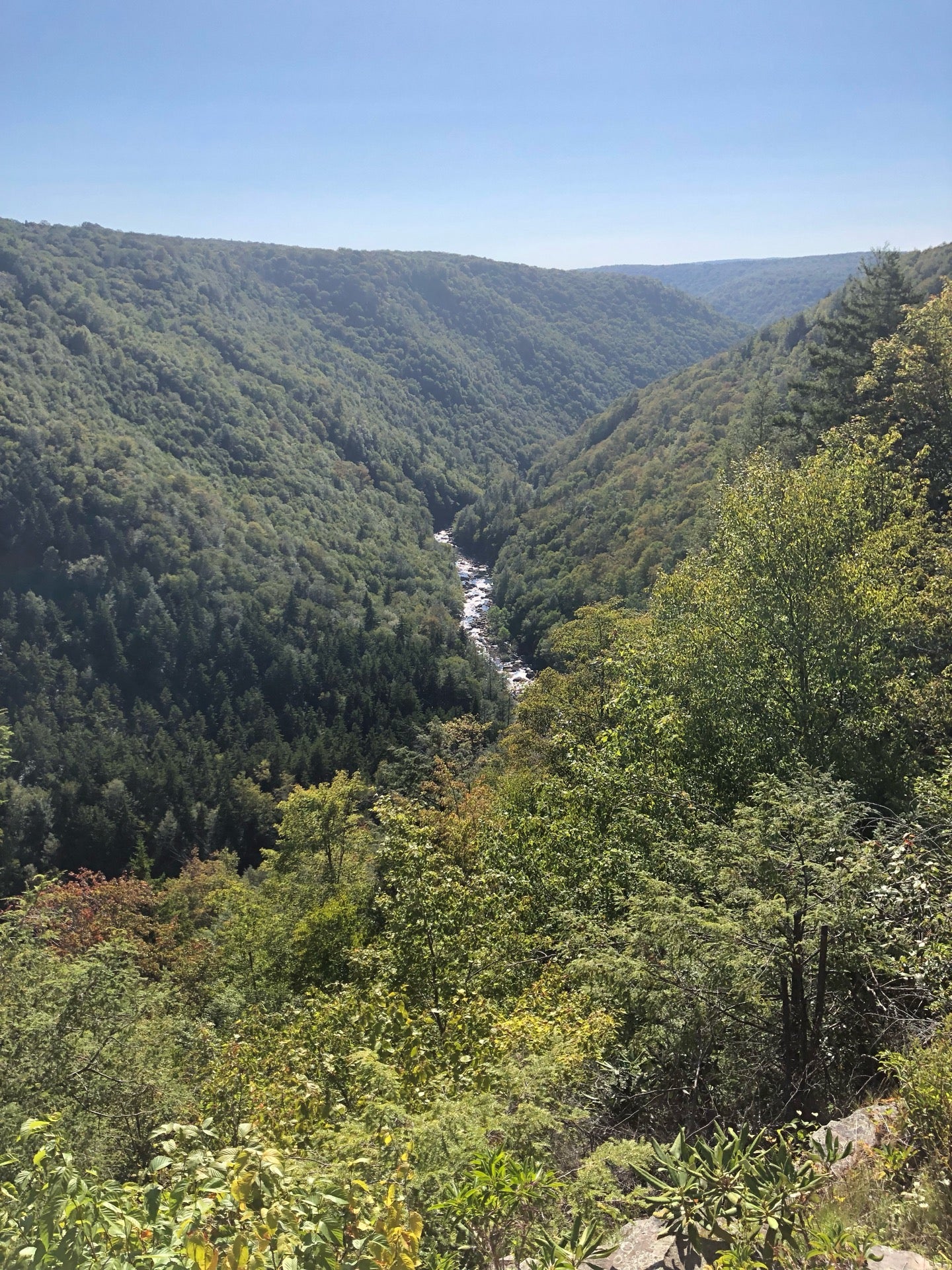 Pendleton Point Overlook, Blackwater Falls Rd, Davis, WV - MapQuest