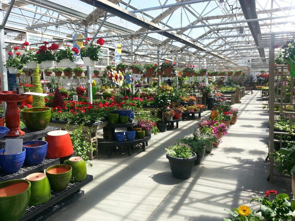 Hyvee Flowers Sioux Falls Sd | Best Flower Site