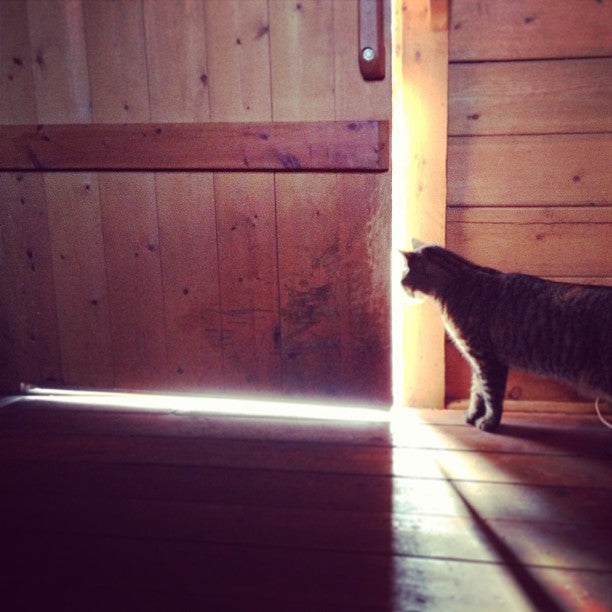 Devol, OK Map & Directions - MapQuest