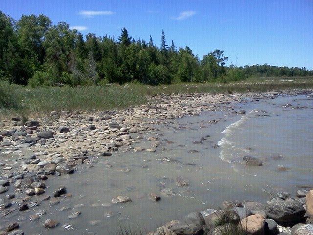 Macgregor Point Dog Beach, Port Elgin, ON, Beach - MapQuest
