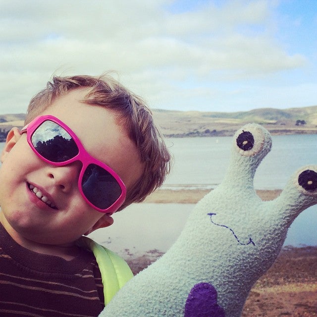 Shell Beach, Pierce Point Rd, Inverness, CA, Beach - MapQuest