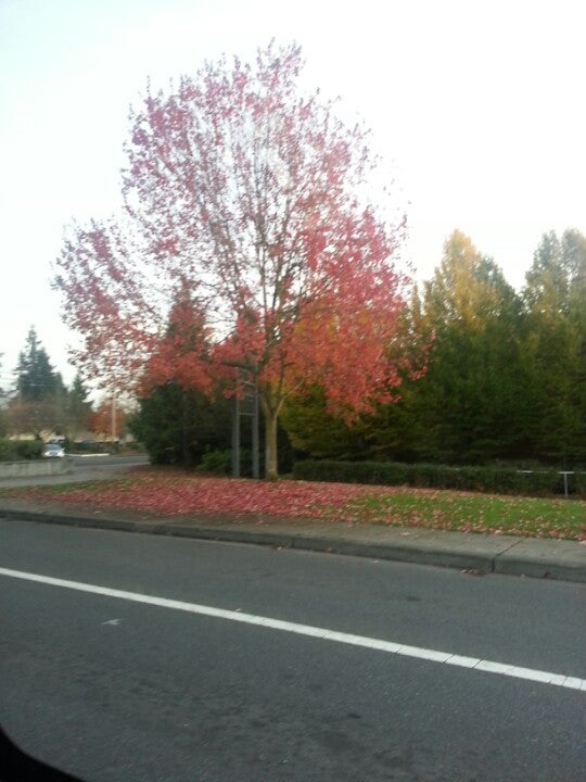 Edmonds Woodway High School, 7600 212th St SW, Edmonds, WA, Schools ...