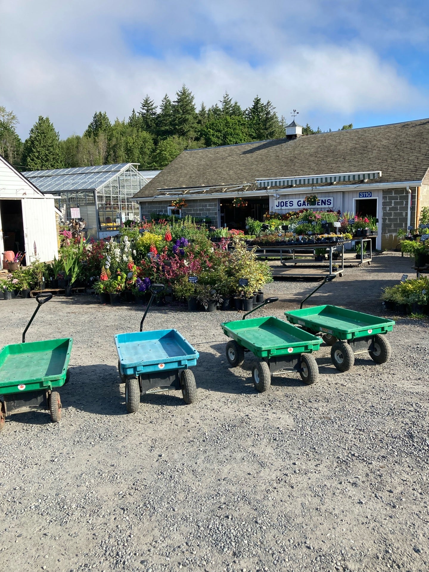 Joes Garden Bellingham | Fasci Garden