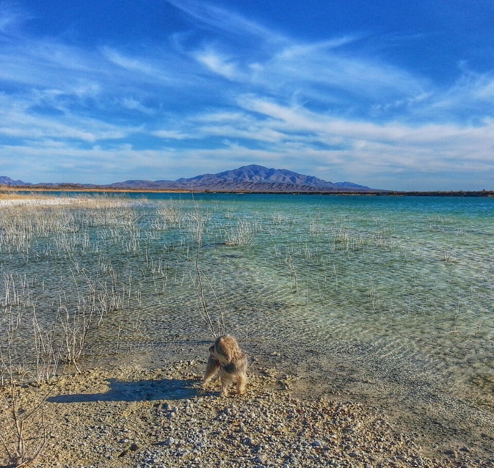 Crystal Reservoir, Amargosa Valley, NV, Lake - MapQuest