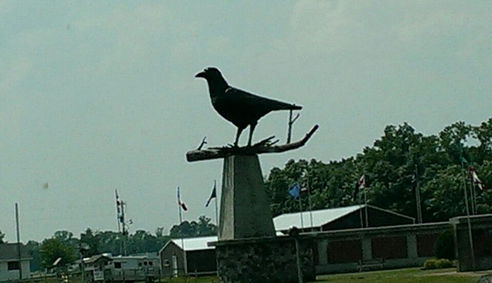 Belgrade Centennial Memorial World's Largest Crow, US-71, Belgrade, MN ...