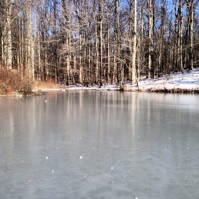 Clopper Lake, 11950 Clopper Rd, Gaithersburg, MD, Landmark - MapQuest