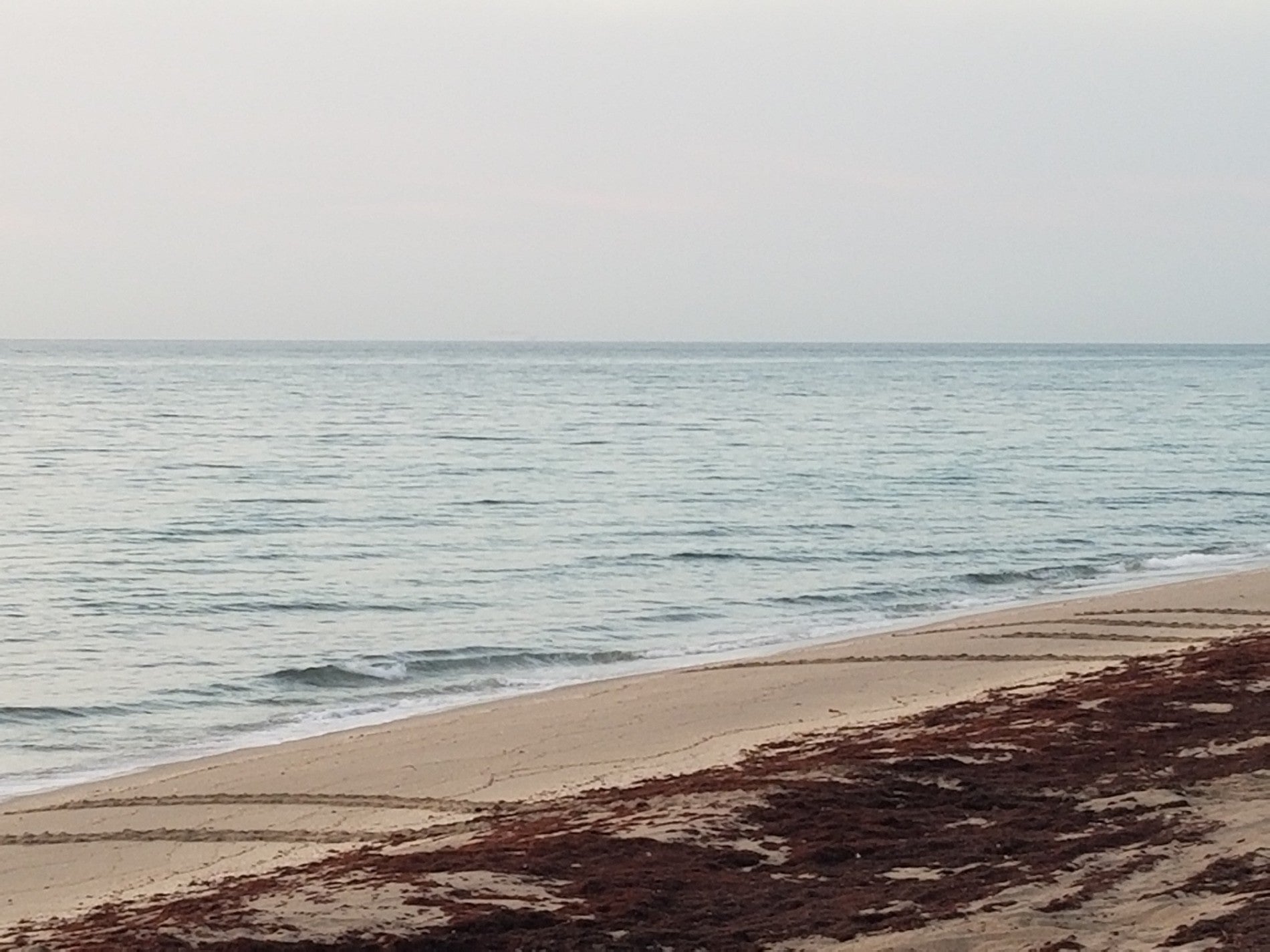 Loggerhead Beach, Ocean Dr, Juno Beach, FL - MapQuest