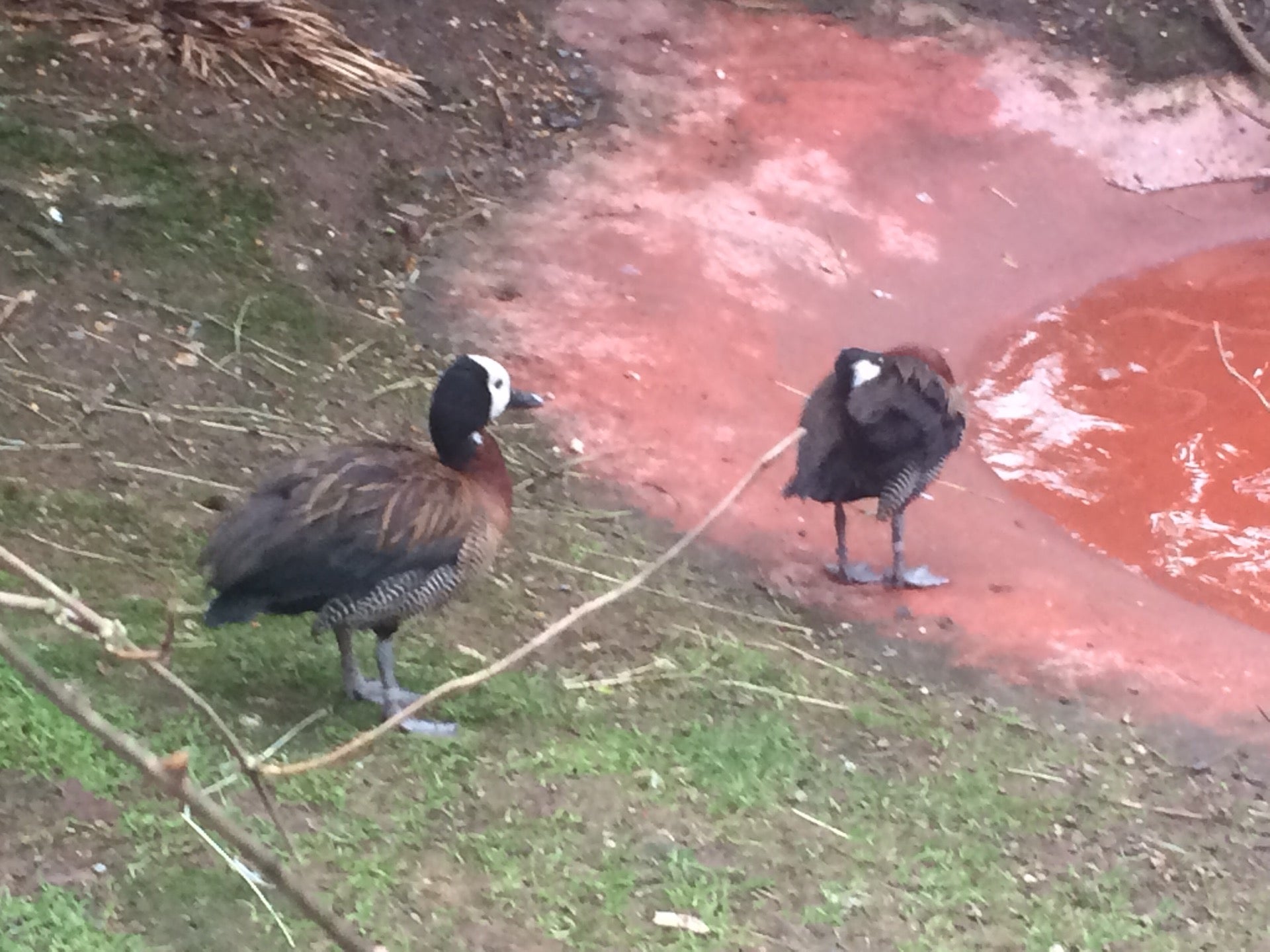African Aviary, 601 N 59th St, Seattle, WA, Zoos - MapQuest