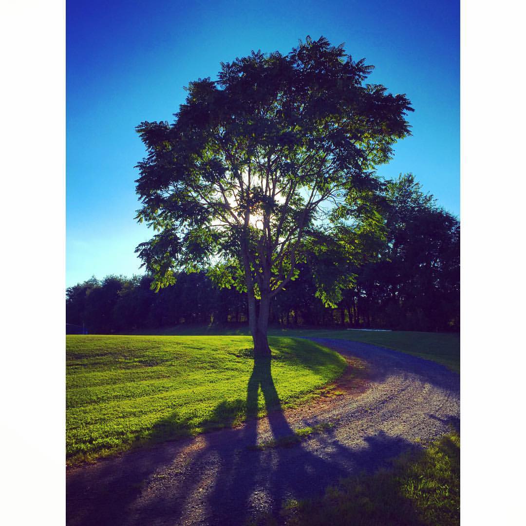 Rhoadesville, VA Map & Directions - MapQuest