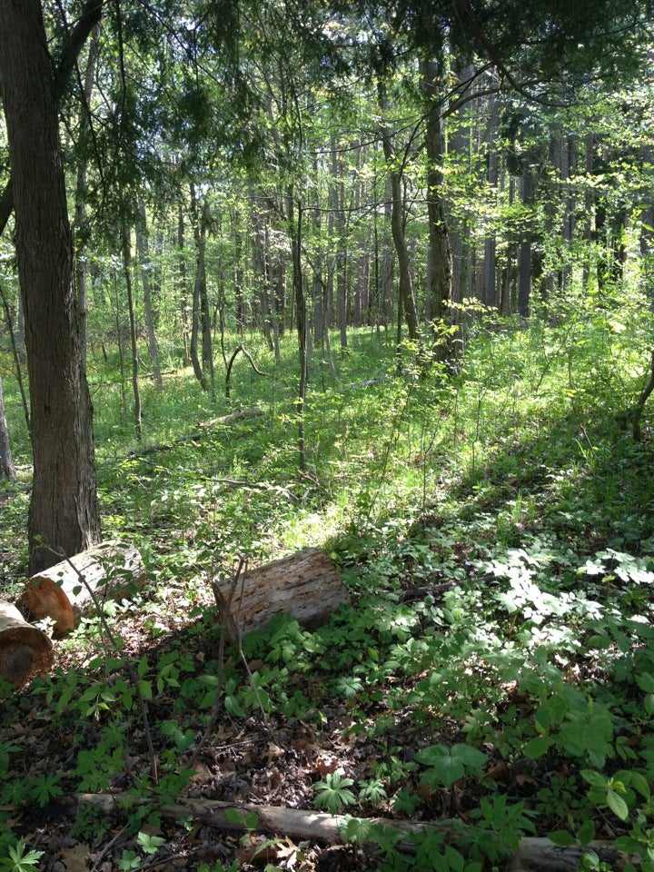 Swanton, OH Map & Directions - MapQuest