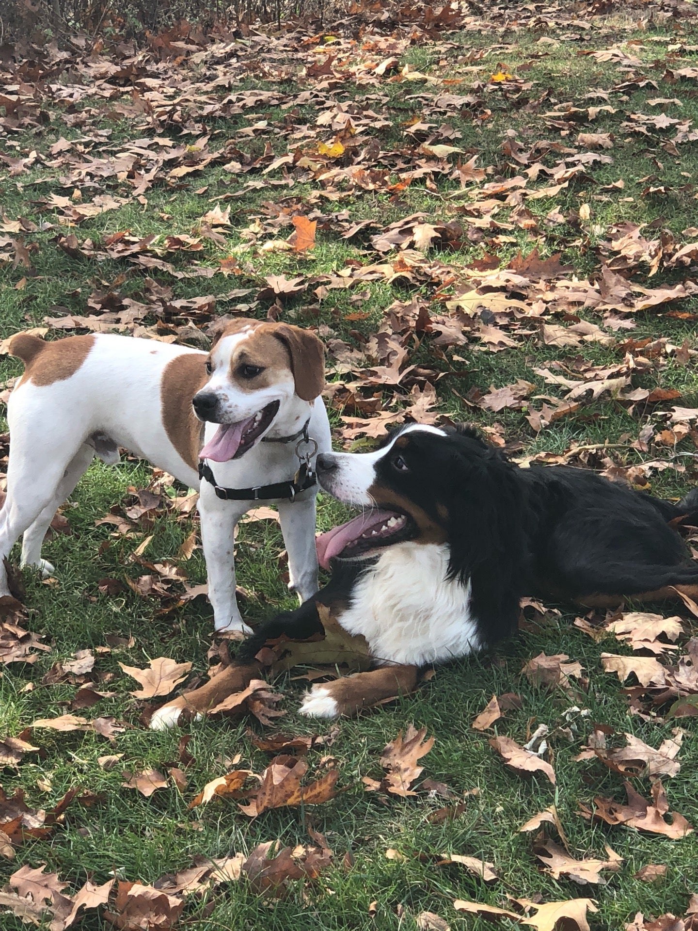 West View, PA Map & Directions - MapQuest