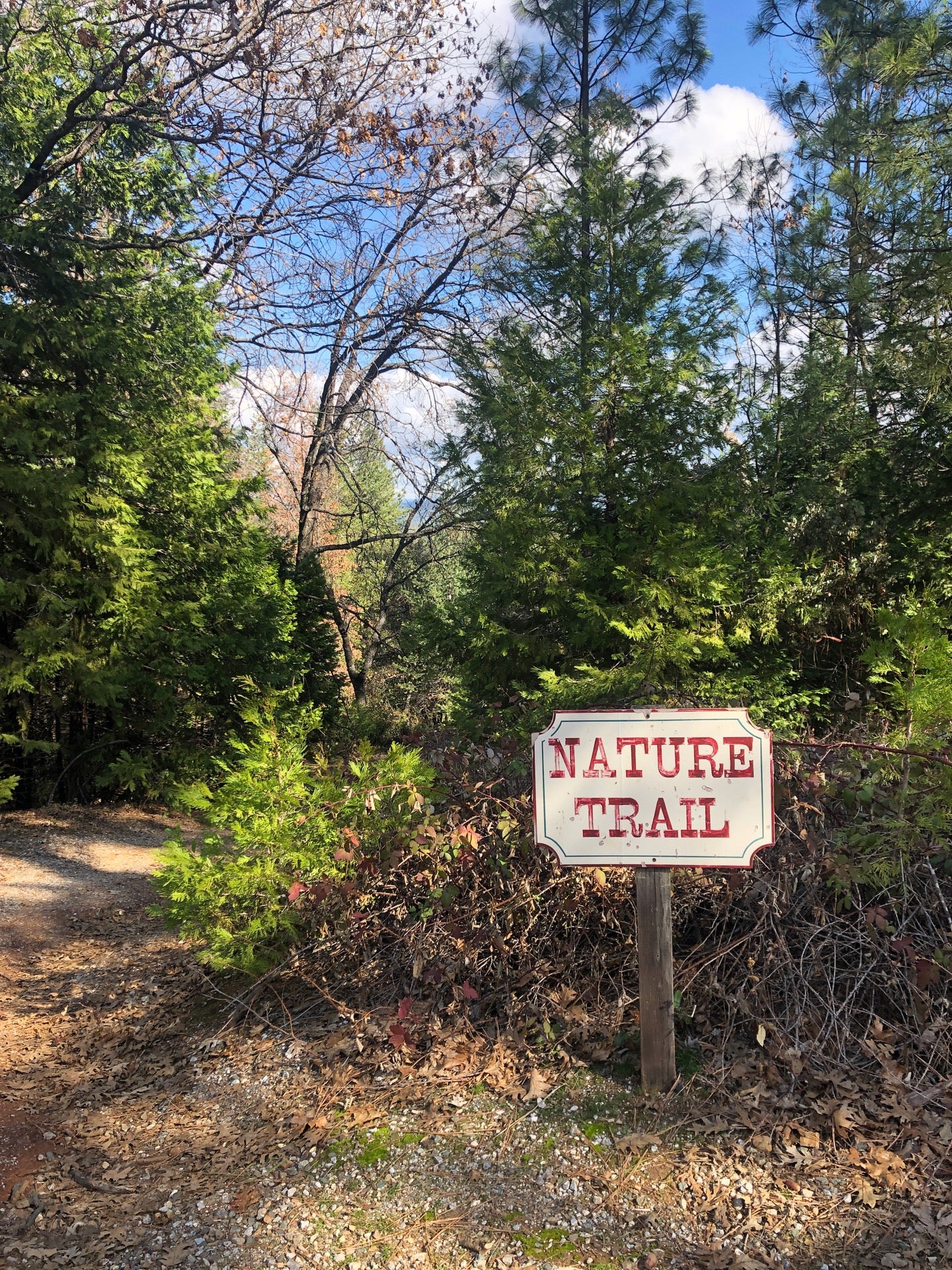 Pine Grove, CA Map & Directions - MapQuest