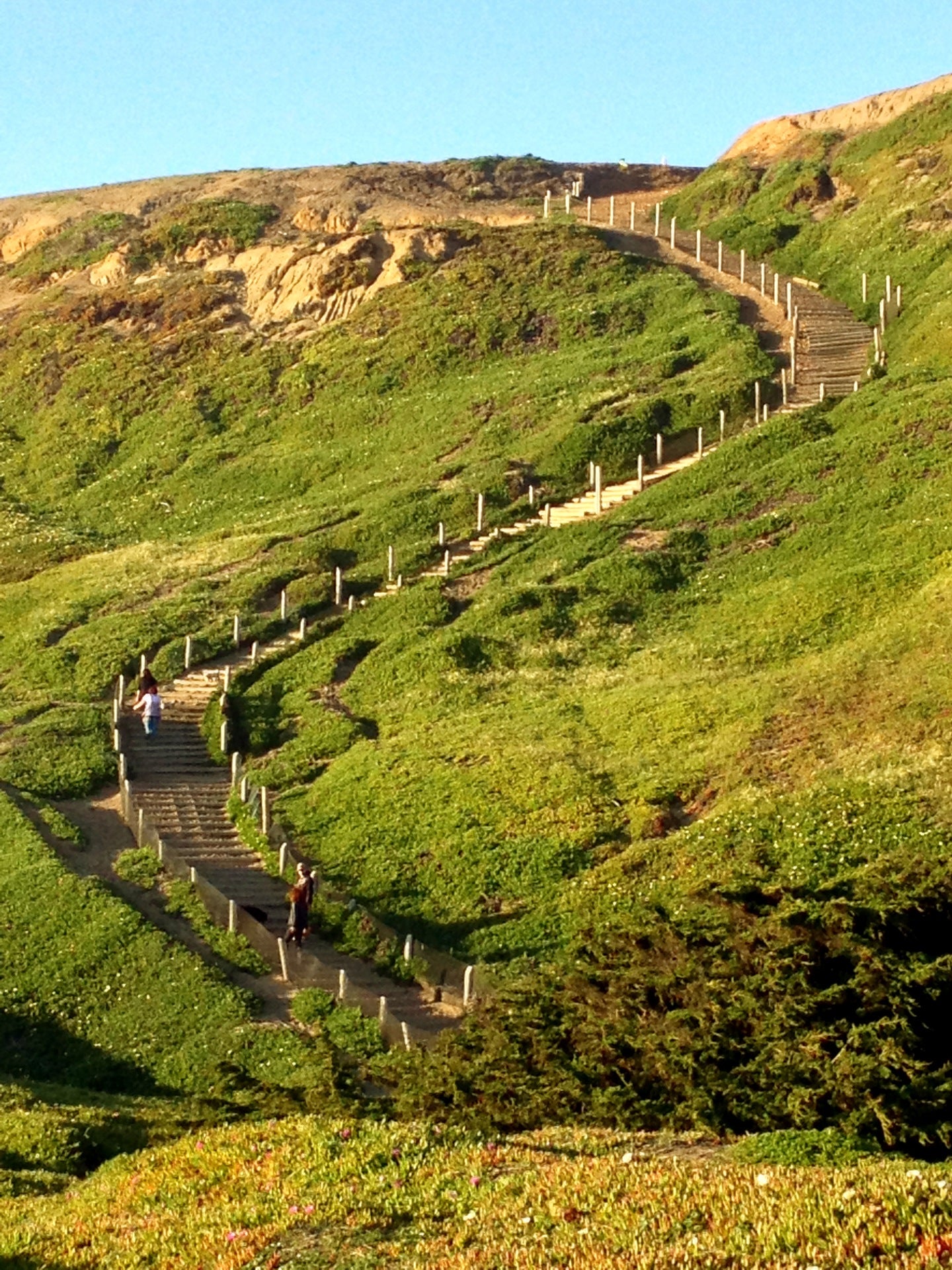 Sand Ladder aka Funston Beach Trail, San Francisco, CA, Trail - MapQuest