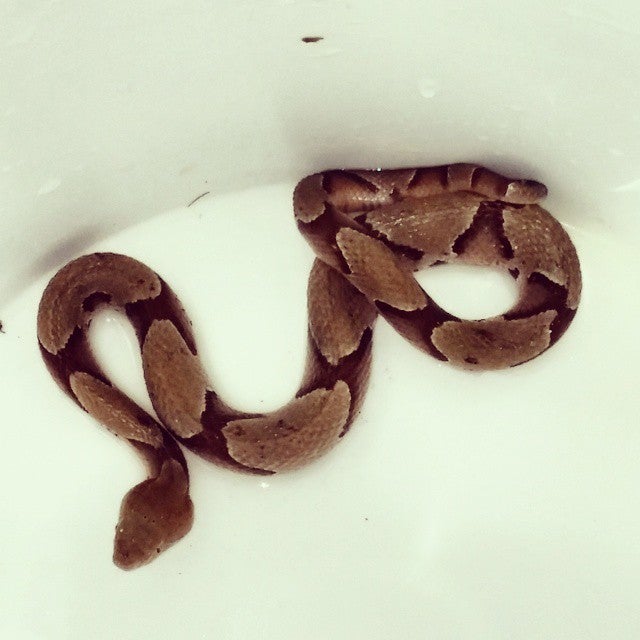 Camp Strake, Conroe, TX - MapQuest