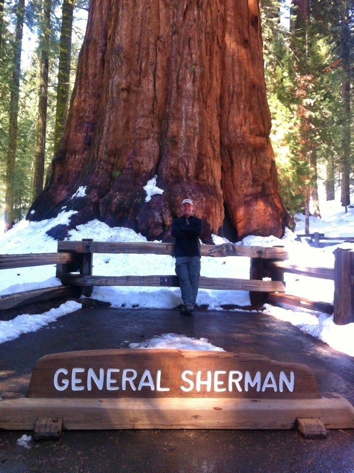 General Sherman Tree, Generals Hwy, Sequoia National Park, CA ...