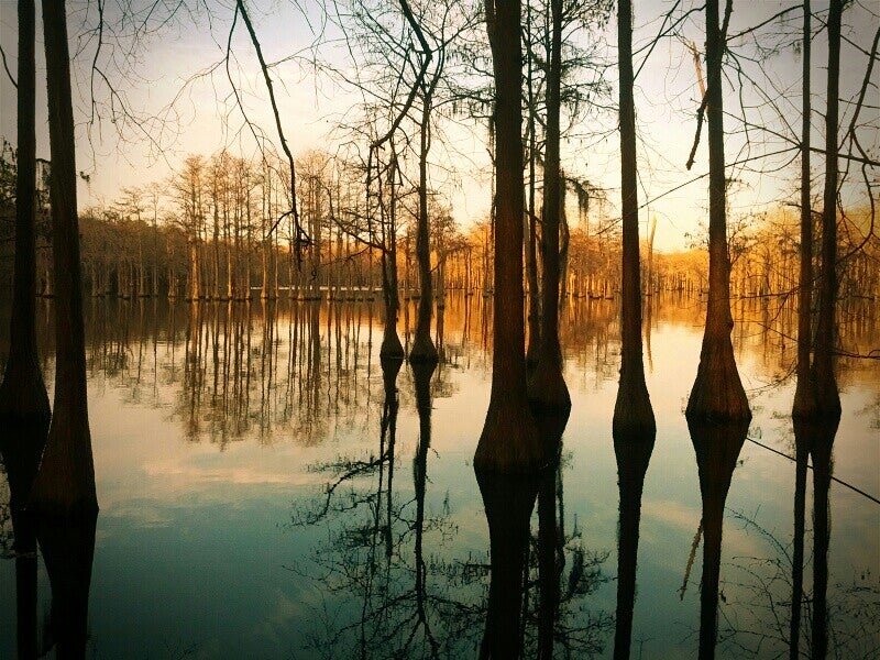 Metter, GA Map & Directions - MapQuest